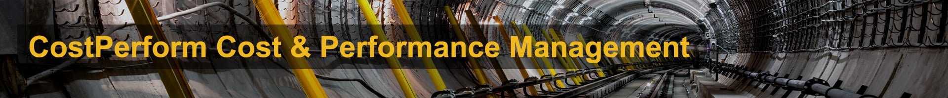 CostPerform - PCS Consulting Inc